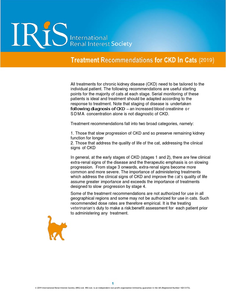 IRIS CAT Treatment Recommendations 2019 | PDF | Blood Pressure ...