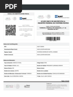 Formato DEL SAT LLENO PDF | PDF | Gobierno | Gobierno y personalidad