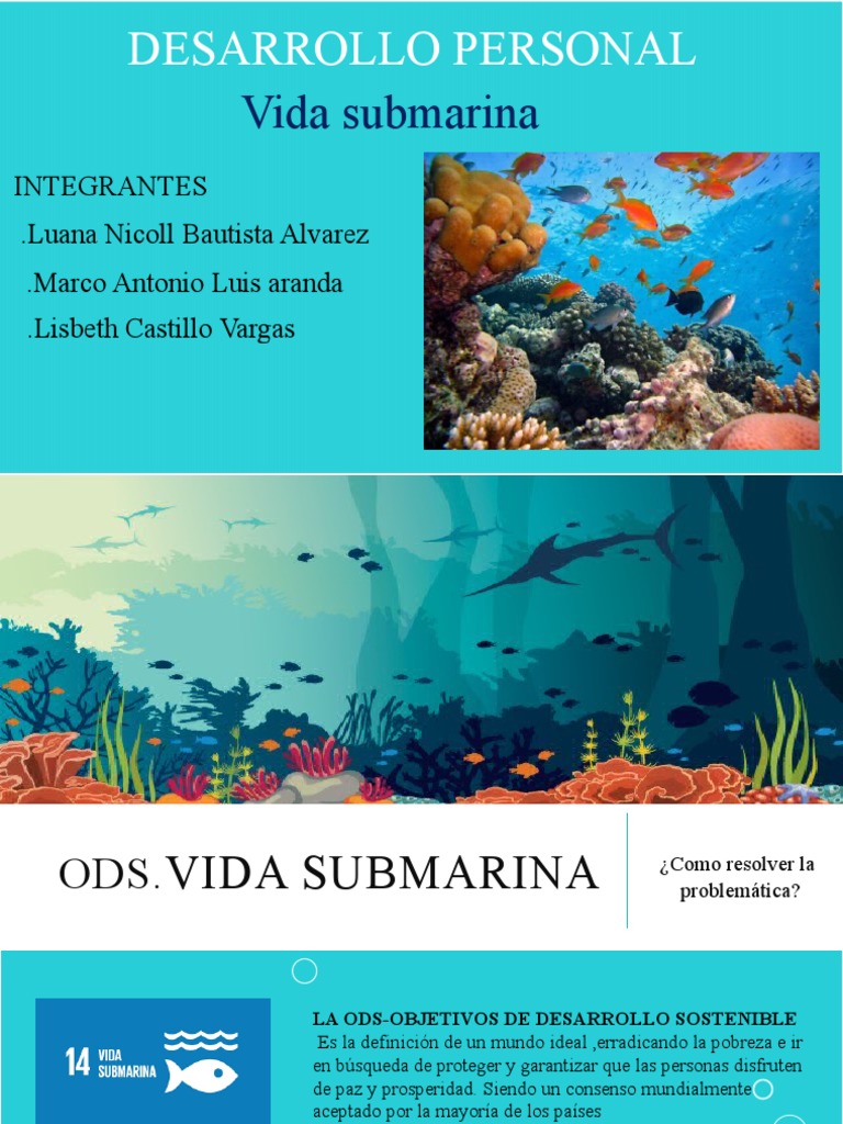 Vida Submarina y ODS: Protección y Sostenibilidad | PDF | Tecnología