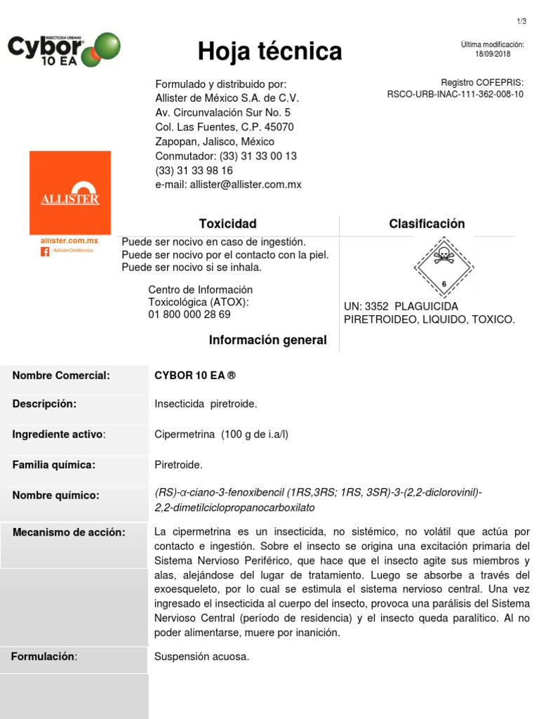 Ficha Cybor 10ea | PDF | Insectos | Insectos y humanos