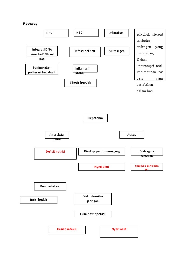Pathway Sirosis dan Hepatoma | PDF