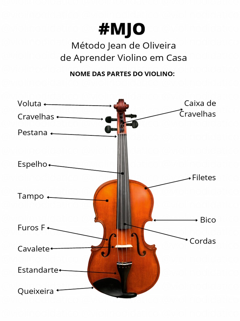 Diagrama De Pecas De Violino
