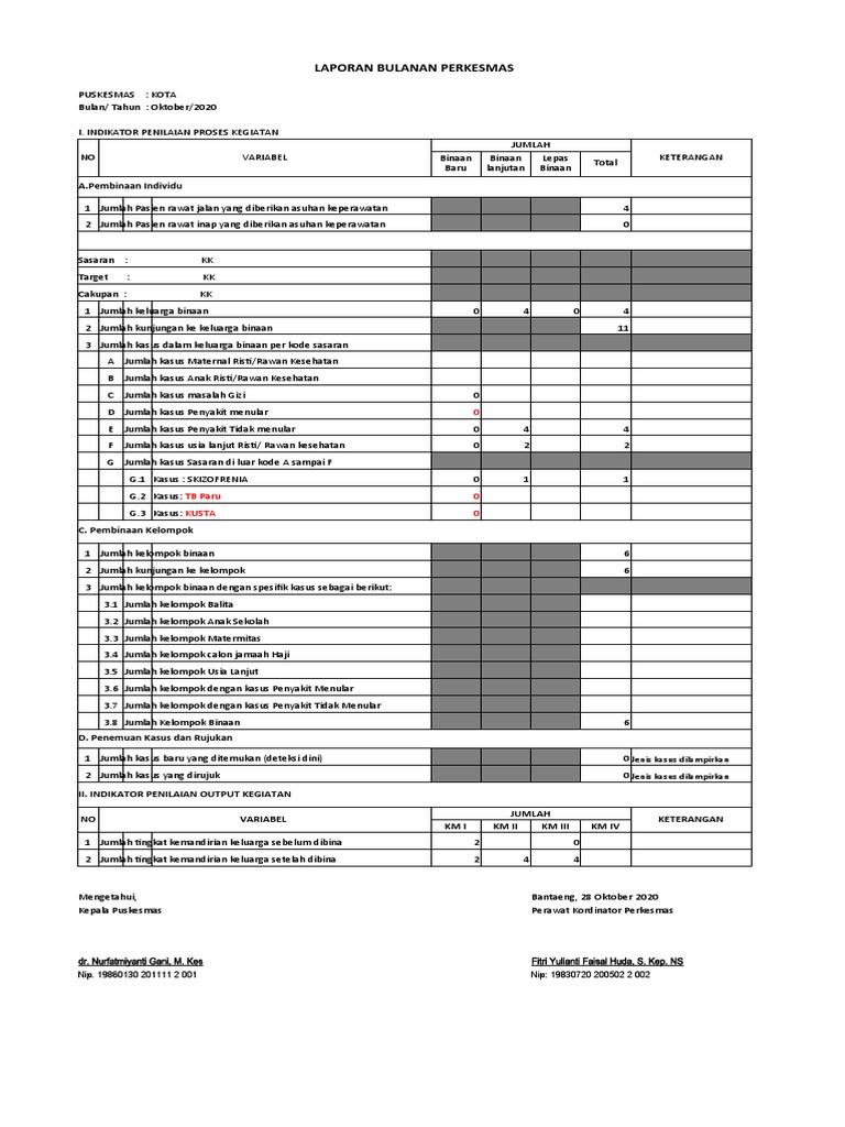 Format Laporan Perkesmas | PDF