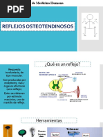 Reflejos Osteotendinosos (Rot) | PDF