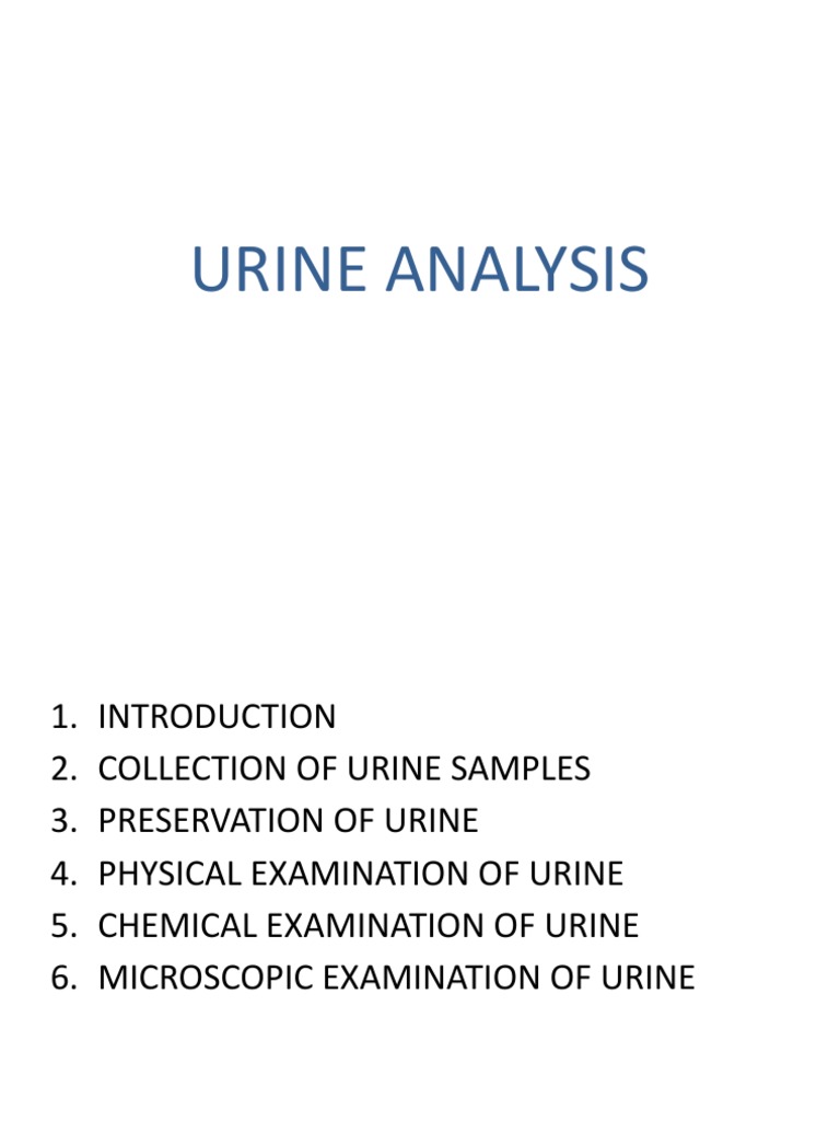 Urine Analysis Final | PDF | Urology | Urinary System