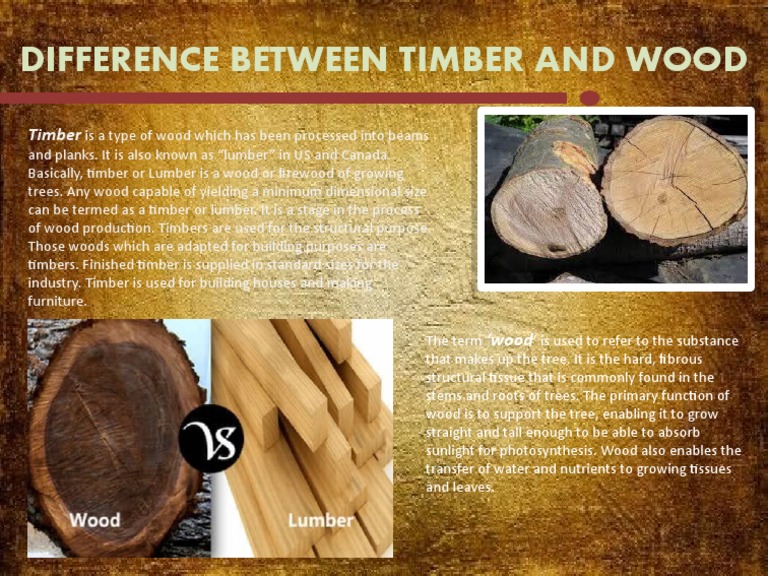 Difference Between Timber and Wood | PDF