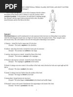 Anatomical Terminology and Positioning Guide | PDF | Anatomical Terms ...