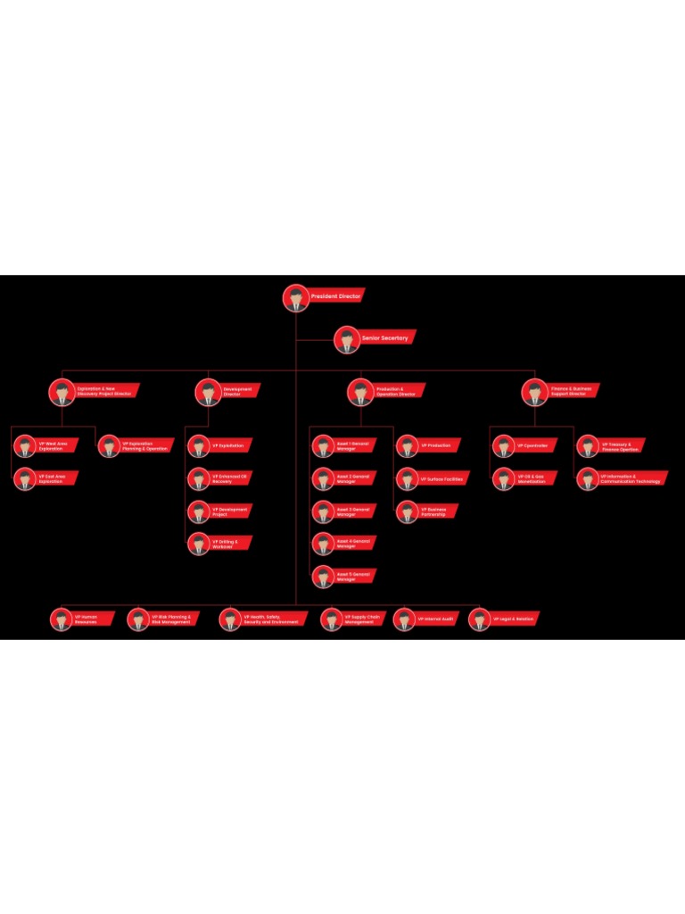 Struktur PT. Pertamina EP | PDF