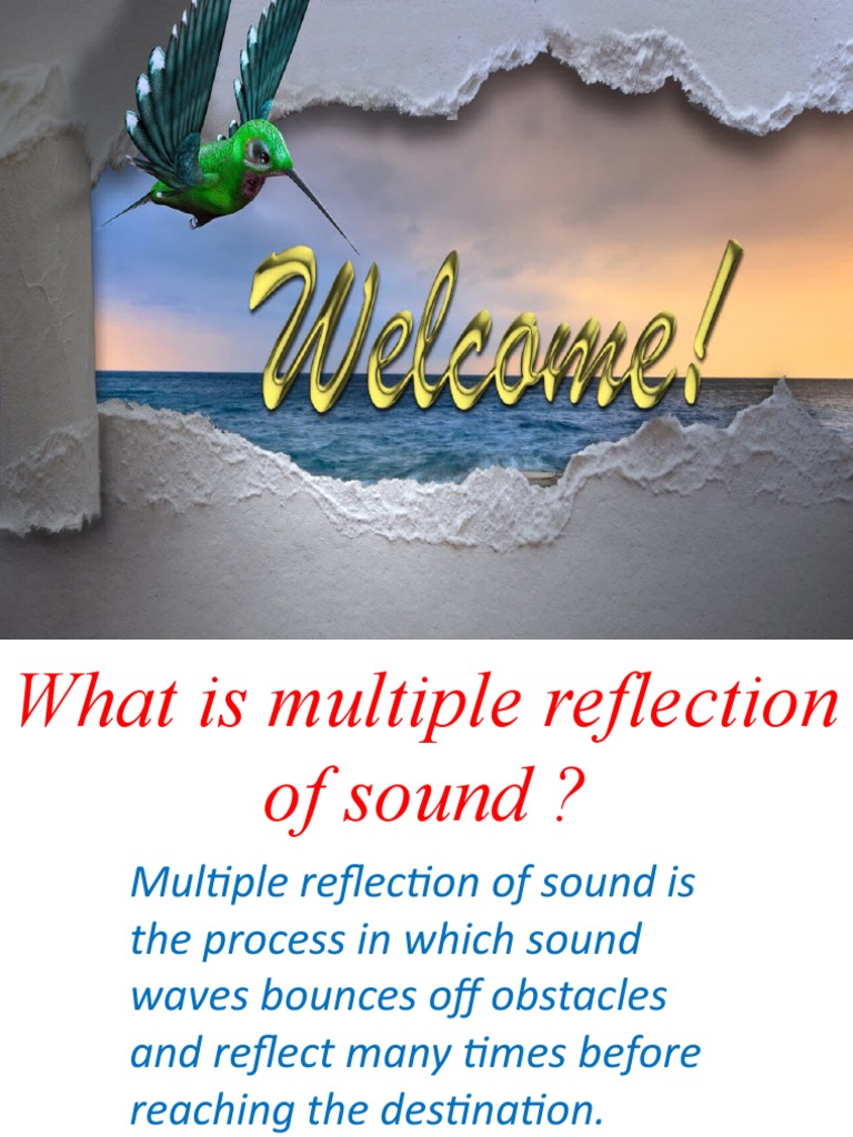 Physics Presentation On Uses of Multiple Reflection of Sound | PDF