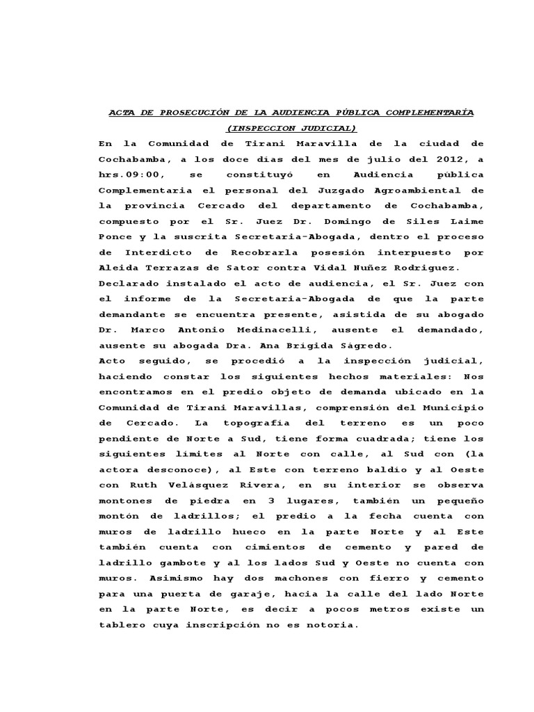 Acta de Prosecución de La Audiencia Pública Complementaría | PDF | Propiedad | Justicia