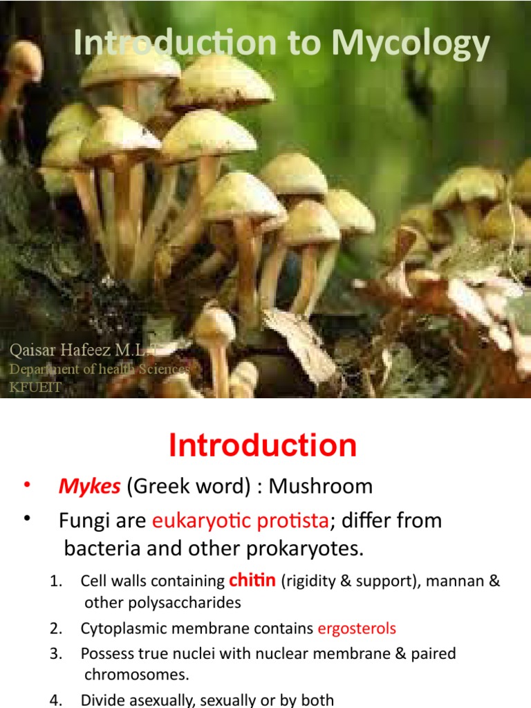 Introduction To Mycology | PDF | Fungus | Mold