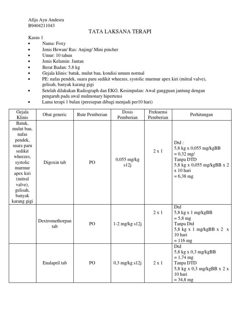 Penulisan Resep Obat | PDF