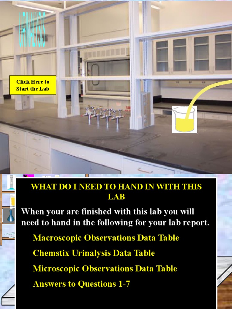 LG 2.7 Urinalysis Virtual Lab | PDF | Urine | Clinical Medicine