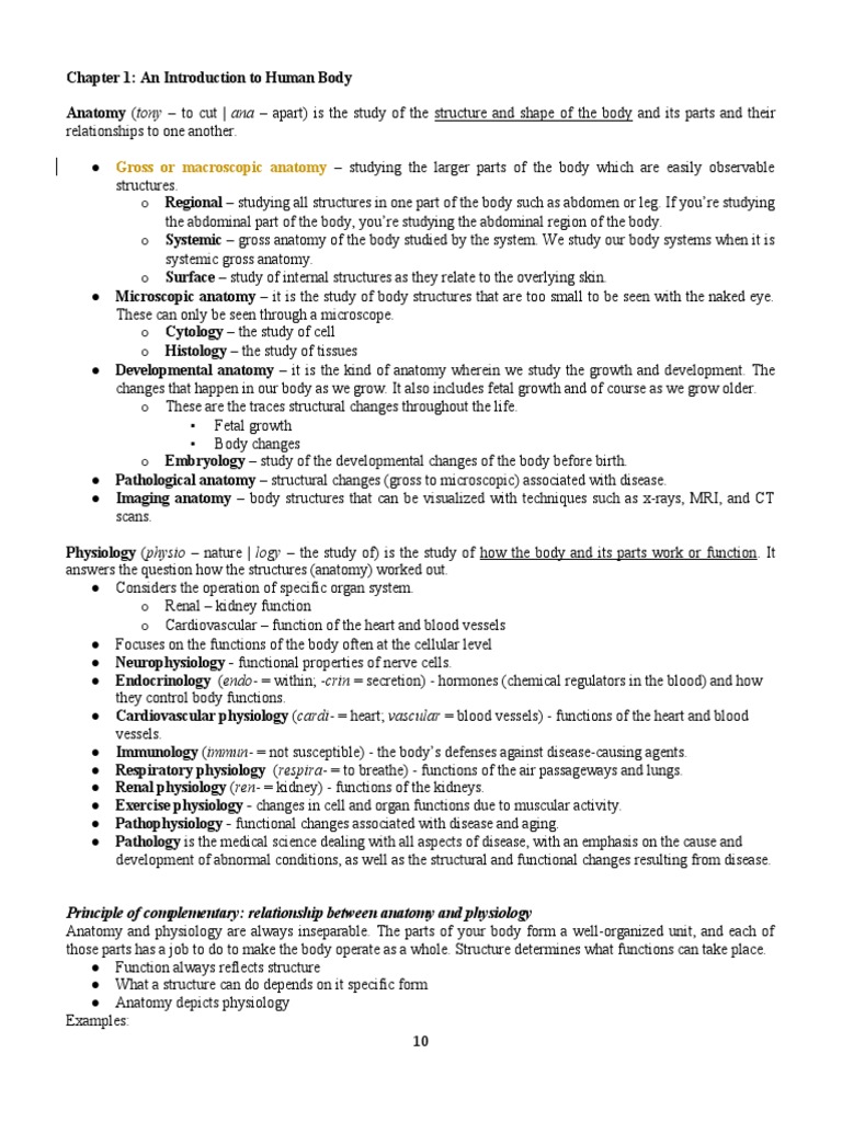 Chapter 1 - Anaphy | PDF | Anatomical Terms Of Location | Human Body
