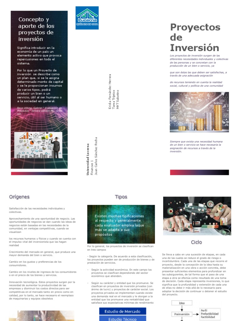 Triptico Proyectos de Inversion | PDF | Mercado (economía) | Inversiones