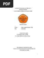 Laporan Pendahuluan Demam Typhoid | PDF