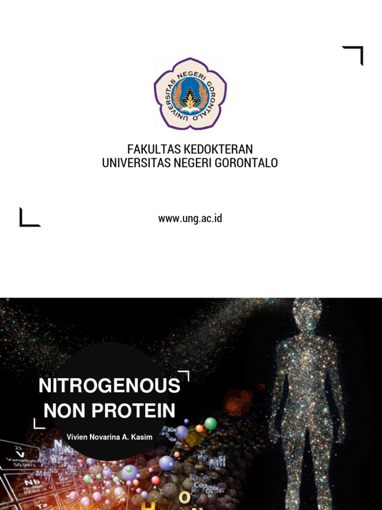 Metabolisme Non Protein Nitrogen | PDF