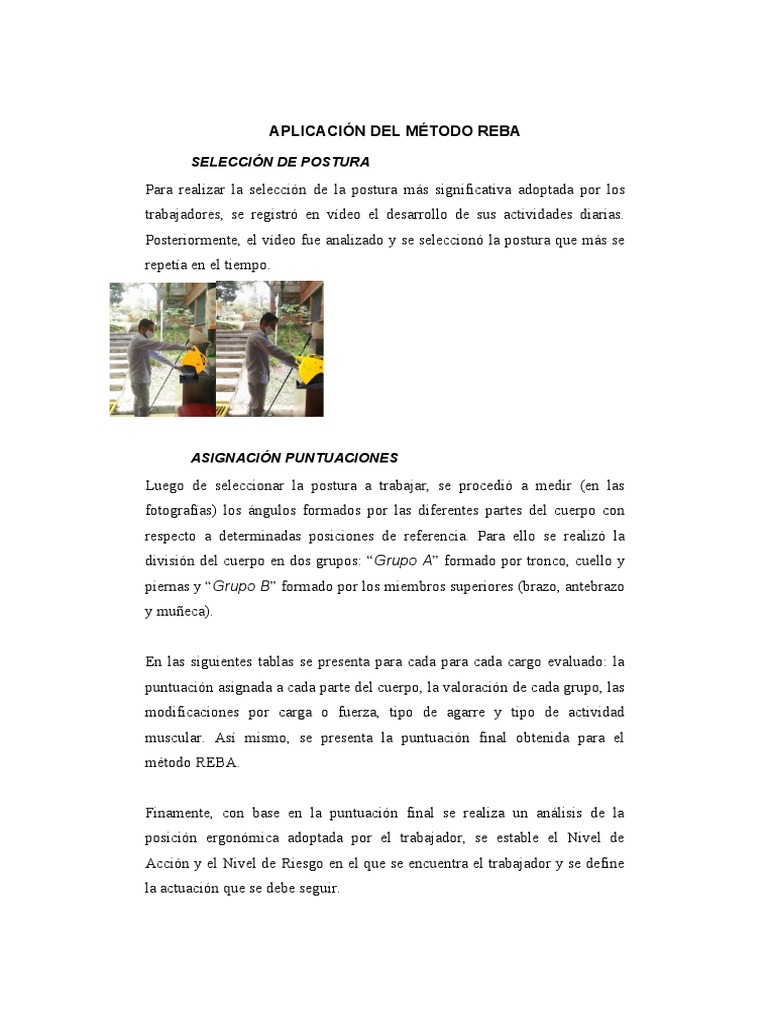Ejemplo Aplicación Del Método Reba Pdf Factores Humanos Y Ergonomía