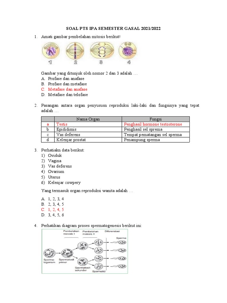 Soal PTS Ipa Semester Gasal 2021 | PDF