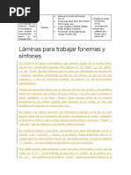 Laminas Pecfo | PDF