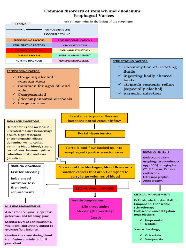 Esophageal Varices Concept Map | PDF | Medical Specialties | Digestive ...