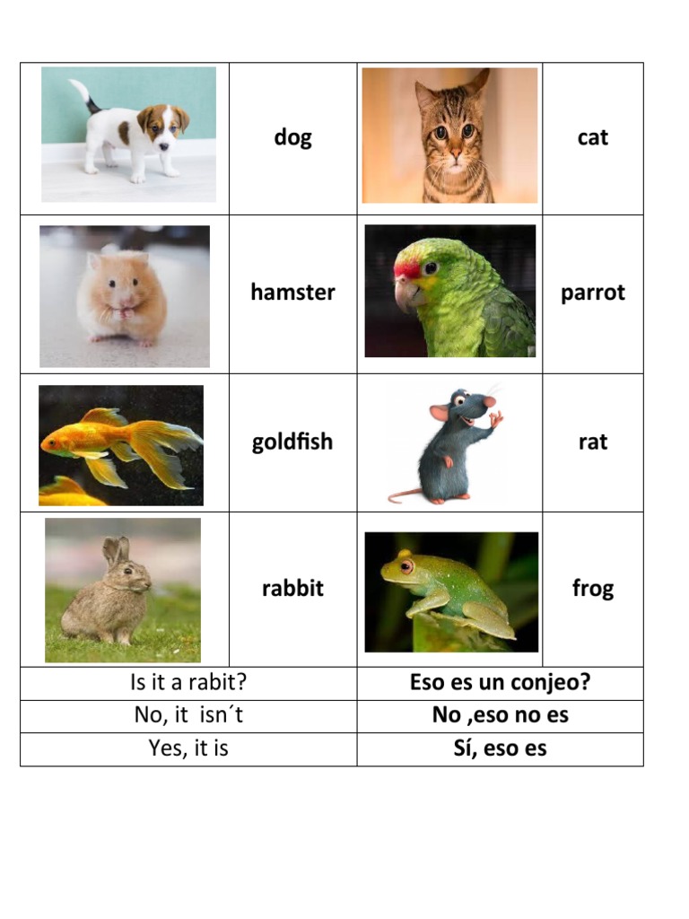 Repaso Ingles Animales | PDF