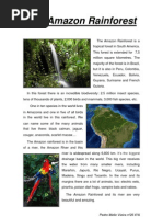 Amazon Rainforest Biodiversity Overview | PDF