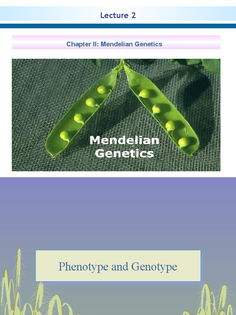 An Introduction to Mendelian Genetics and Monohybrid Crosses | PDF ...