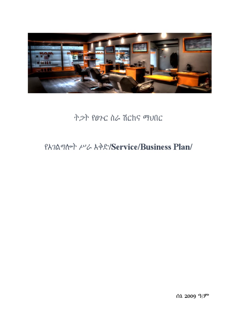 Tigat Business Plan | PDF