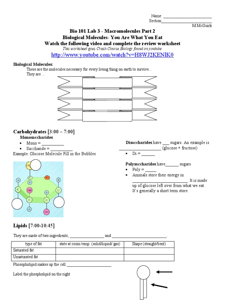 Bio 101 Lab 3 - Macromolecules Part 2 Biological Molecules-You Are What ...