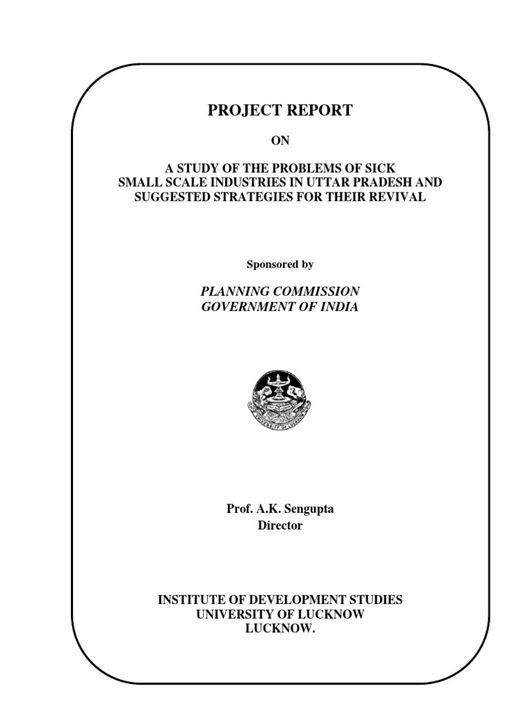 Project Report SSI | PDF | Foreign Direct Investment | Economic Development
