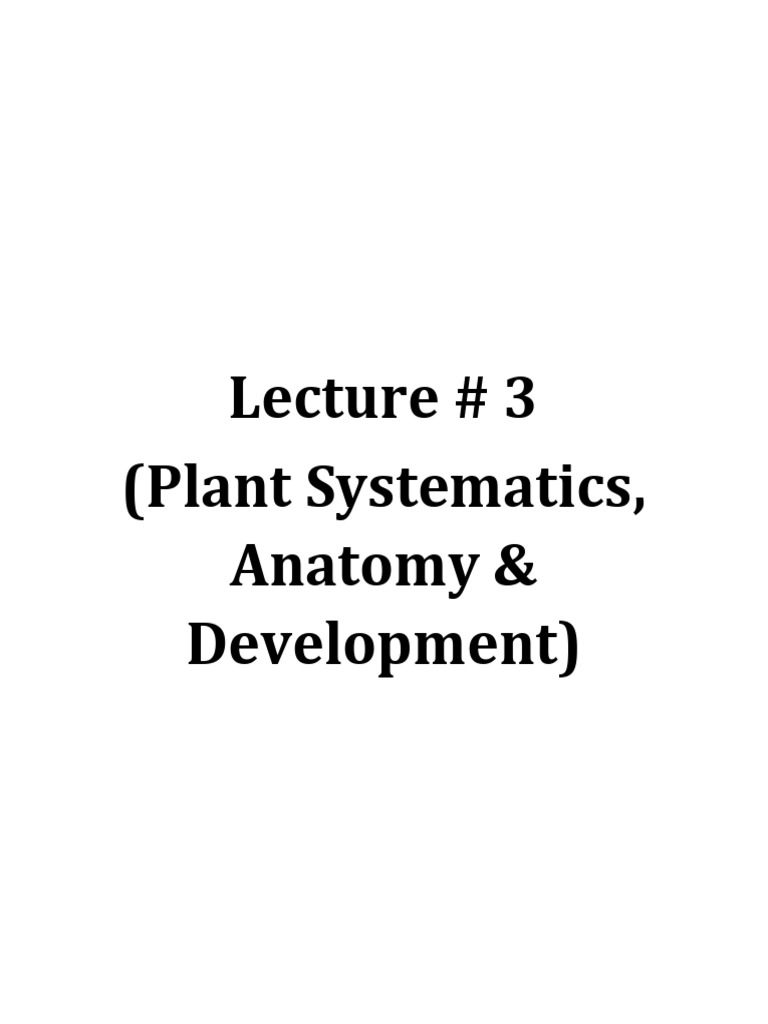 Plant Systematics and Anatomy Lecture 3 | PDF