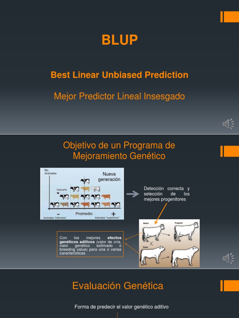 Evaluación Genética con BLUP | PDF | Matriz (Matemáticas) | Matemáticas ...
