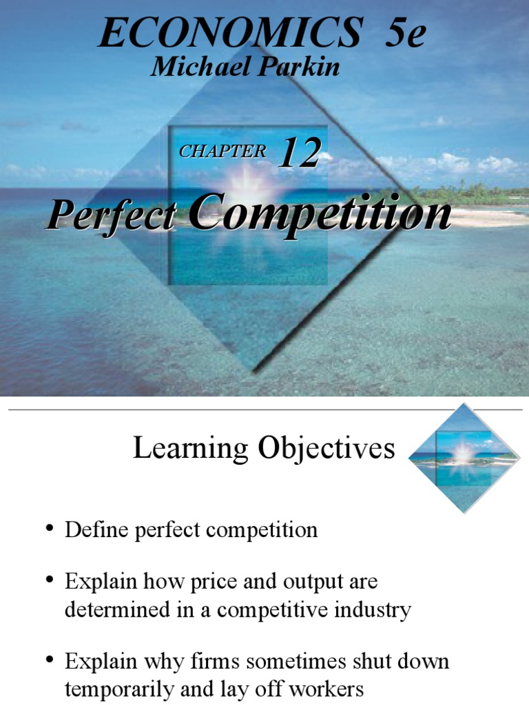 7 Perfect Competition | PDF | Long Run And Short Run | Perfect Competition
