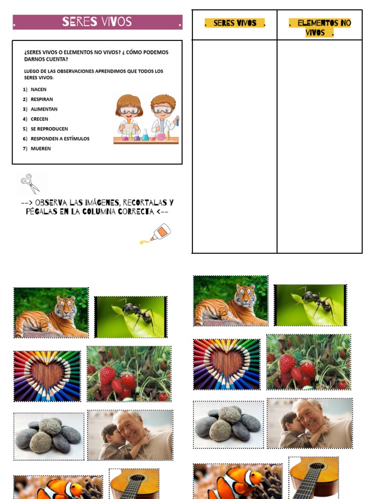 Actividad SERES VIVOS y No Vivos Con Recortables | PDF