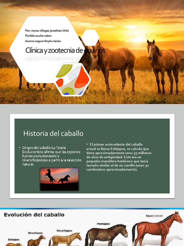 Historia de Caballos 1 | PDF