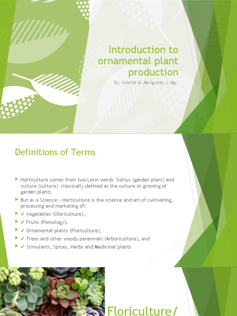Lesson 1 Introduction To Ornamental Plant Production | PDF ...