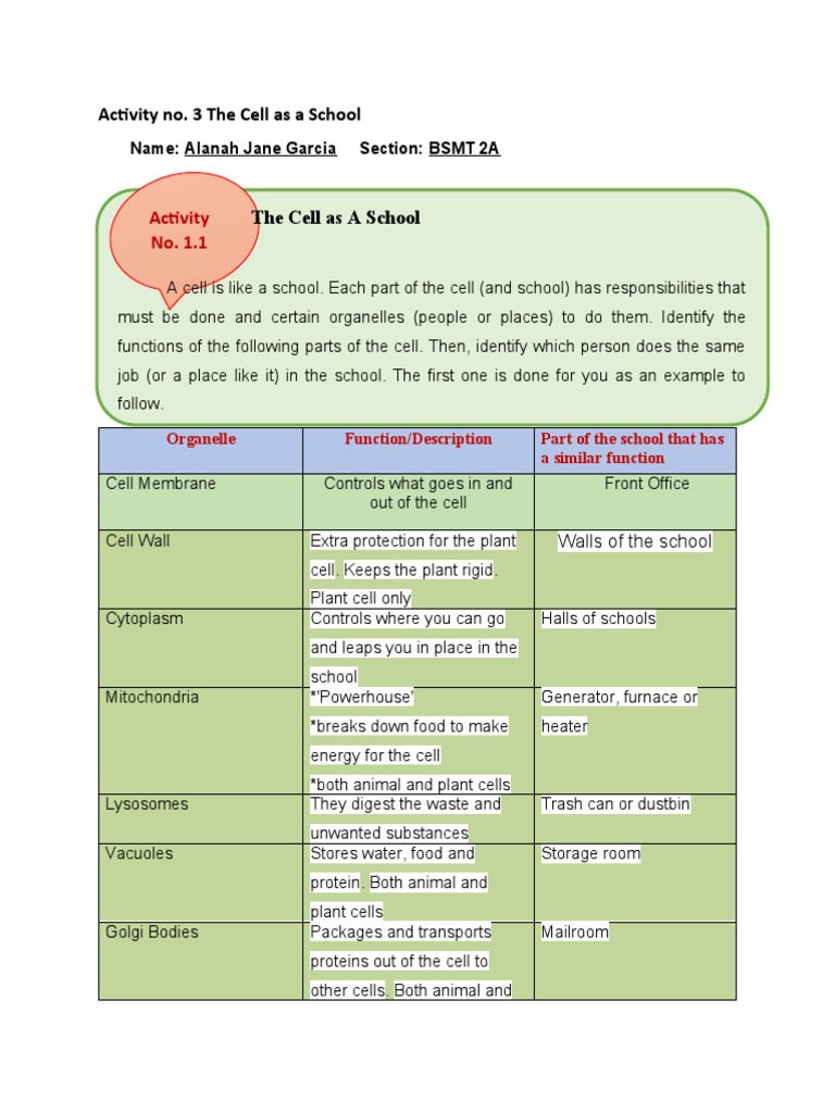 Activity No. 3 The Cell As A School (Module-1) | PDF | Cell (Biology ...