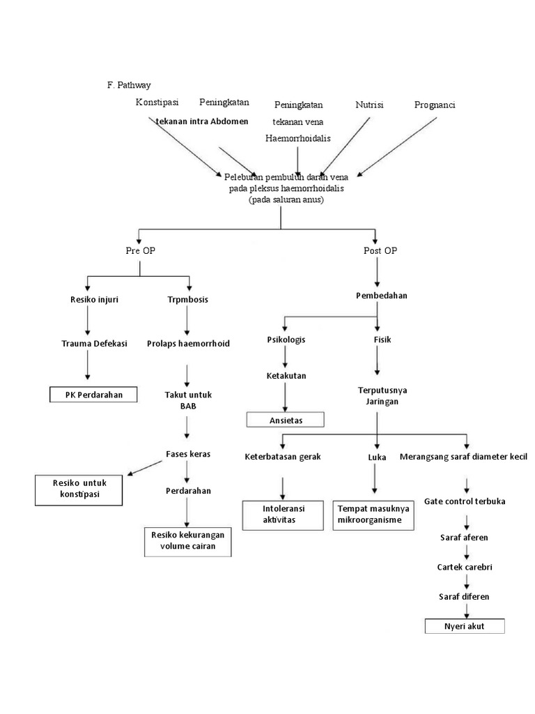 PDF Pathway Hemoroid Dikonversi | PDF