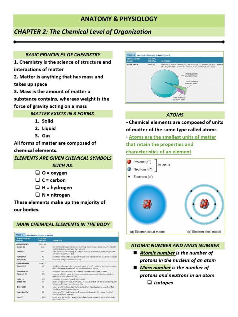 CHAPTER 2: The Chemical Level of Organization: Anatomy & Physiology ...