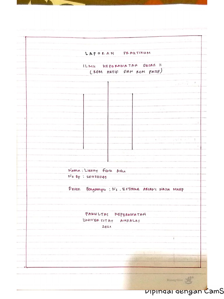 LP Rom Aktif Dan Pasif Lieony Fibra Asha 2011311049 A1 KlpA | PDF