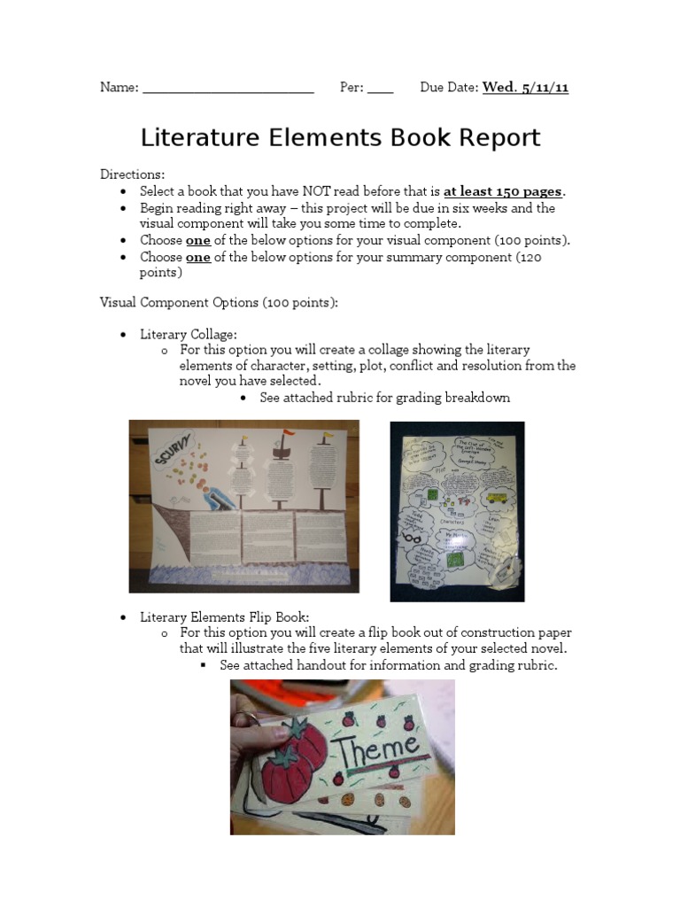 Literary Elements Book Report | PDF | Books | Knowledge
