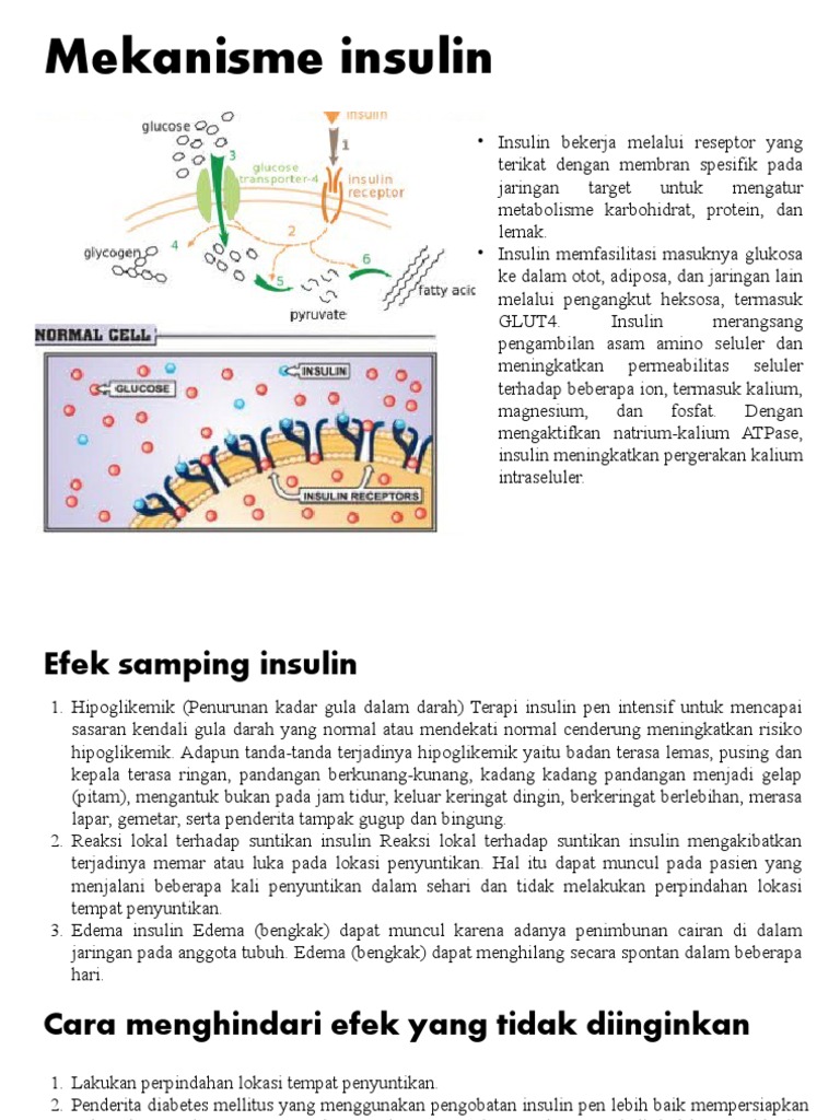Mekanisme Insulin, Efek Samping Dan Cara | PDF