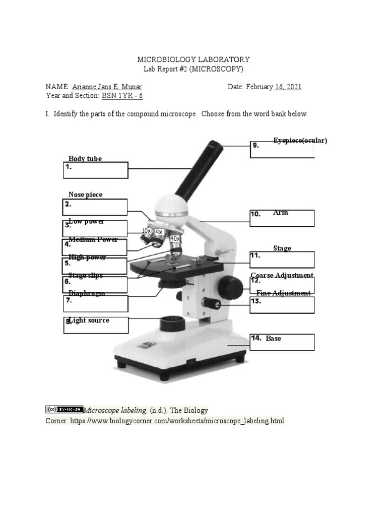 Parts Of A Microscope And Their Functions Worksheet