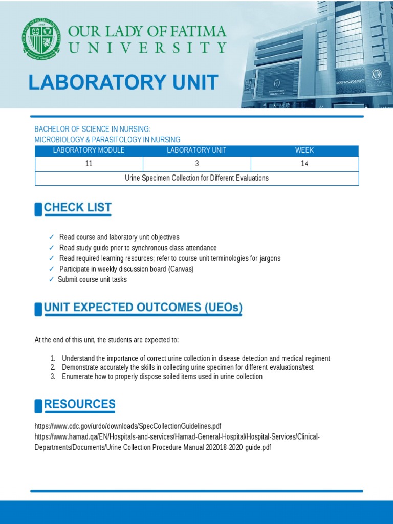 Lab Exercise 11 Urine Specimen Collection | PDF | Urinary Tract ...