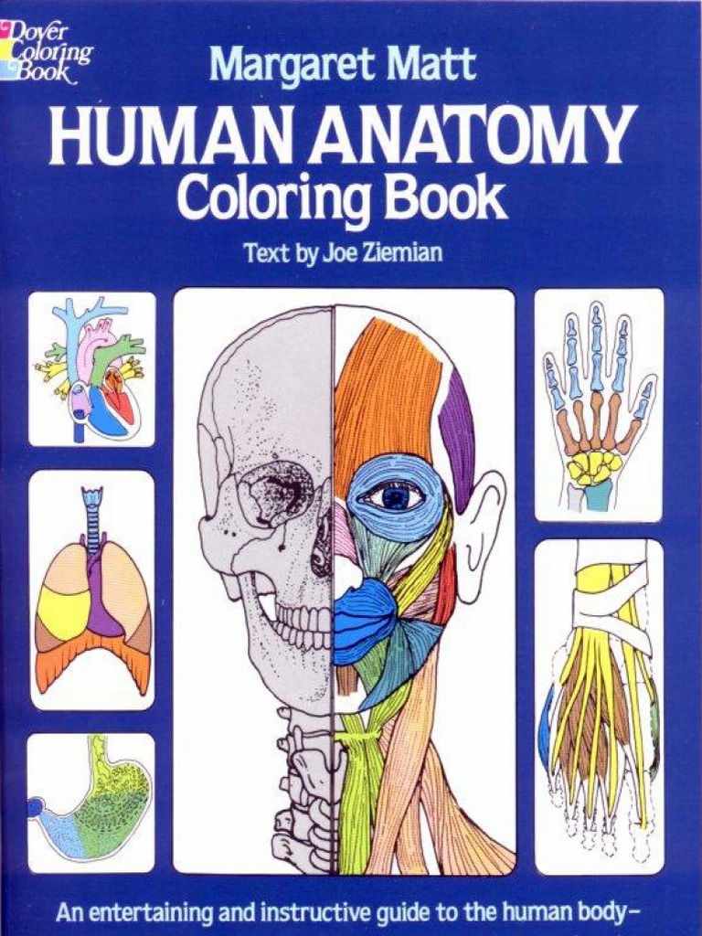 Human Anatomy Coloring Book | PDF