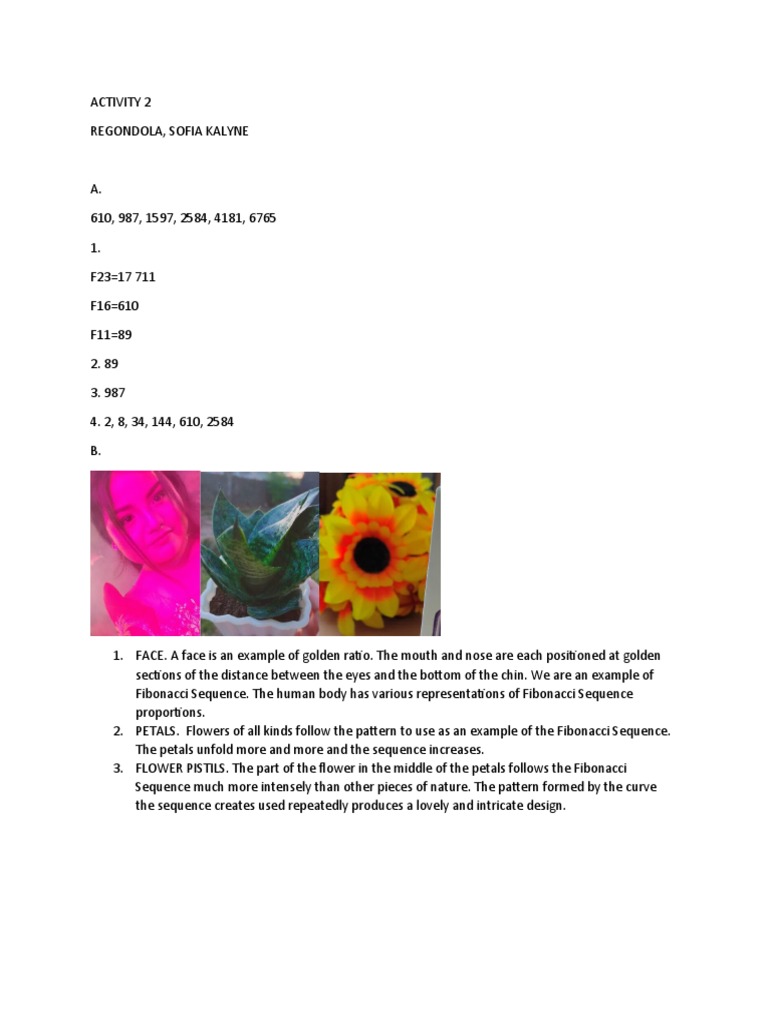 Activity 2 | PDF