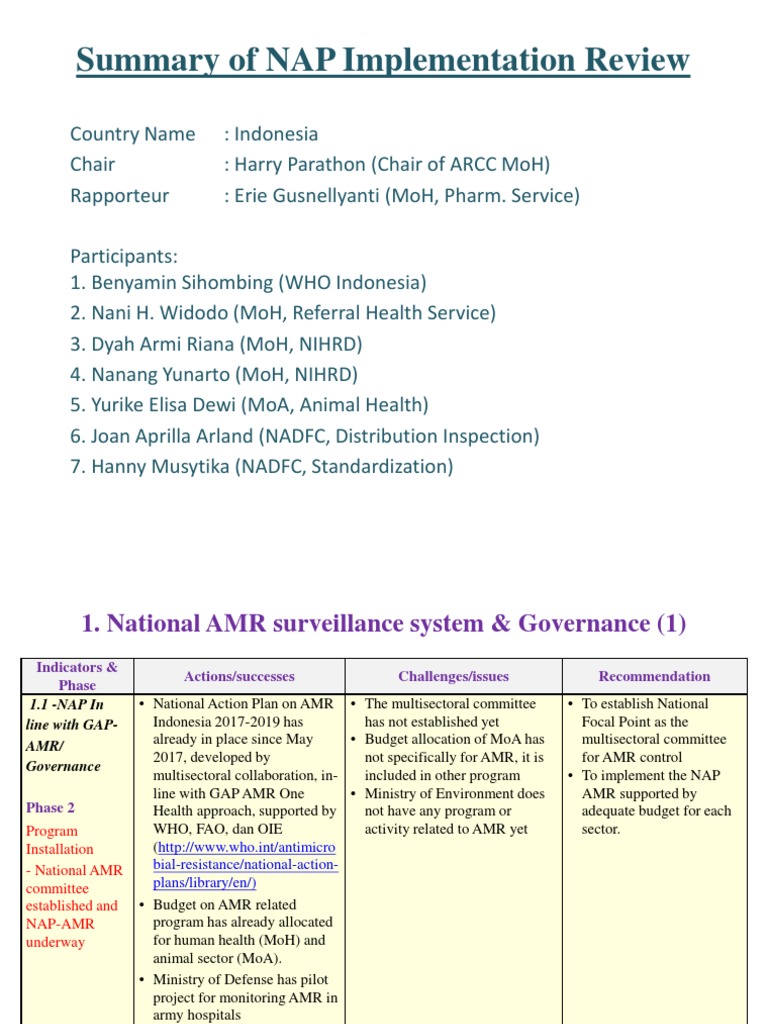 Summary of NAP Implementation Review | Descargar gratis PDF | Wash ...