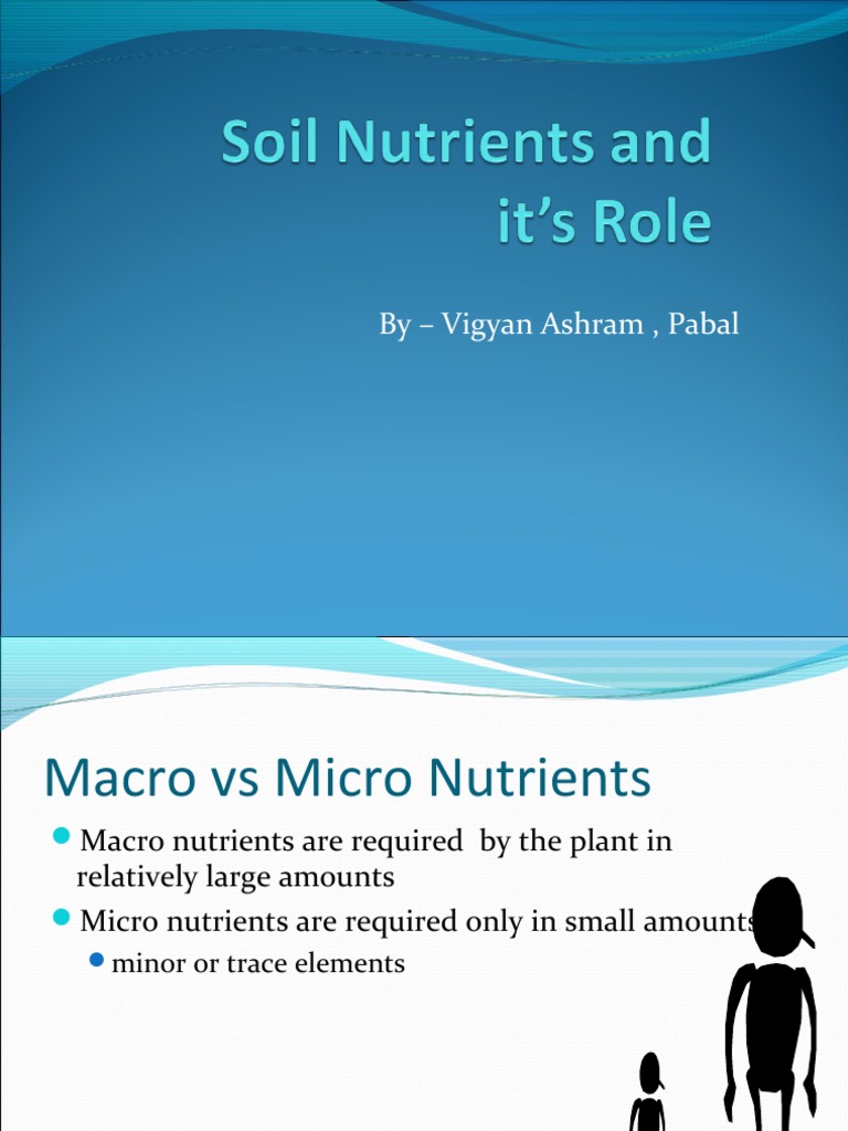 Macro and Micro Nutrients in Plants | PDF | Nutrients | Leaf