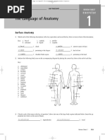 Anatomical Position Worksheet | PDF | Anatomical Terms Of Location ...